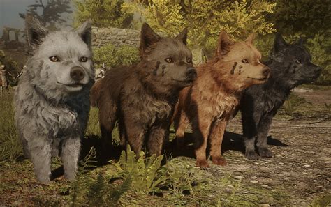 Trailer Warframe Dev New Game Soulframe Coming In 2025 Trailer Neogaf