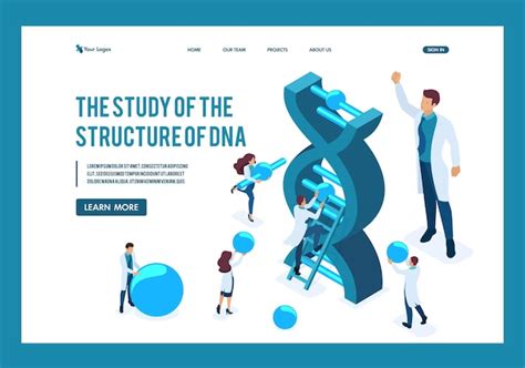 Premium Vector Isometric Scientists Are Investigating The Structure