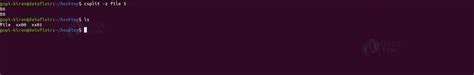 Csplit Command In Linux With Examples Dataflair