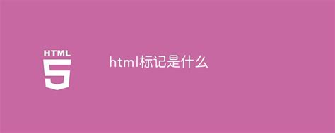 html是一种用于创建网页的标准标记语言 html标记是什么 csdn博客