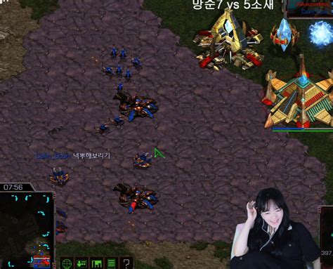 나무늘봉순vs시조새 시조새 맨탈공격 하는 망순이 스타크래프트 에펨코리아
