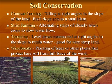 Soil Composition and Soil Conservation - ppt download
