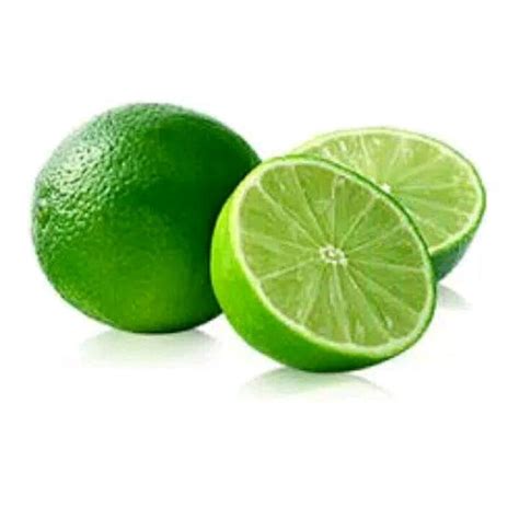 Jual 3 Biji Benih Bibitbiji Jeruk Nipis Shopee Indonesia Jual 3 Biji Benih Bibitbiji Jeruk Nipis Shopee Indonesia