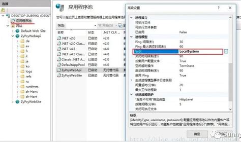 Asp net core webapi部署IIS过程详解以及坑点介绍和解决坑点方法 小欢的专栏 TNBLOG