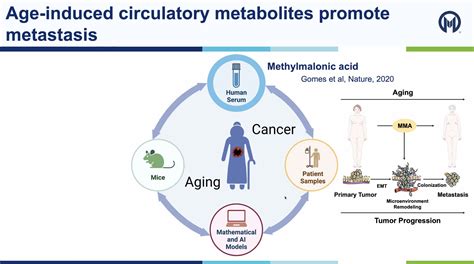 Harvard Glenn Aging Conference Online Monday May 22 Rapamycin