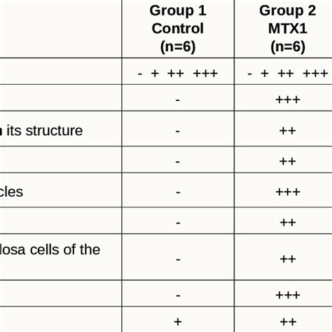 Grading Of Histological Findings Between Groups Download Scientific Diagram