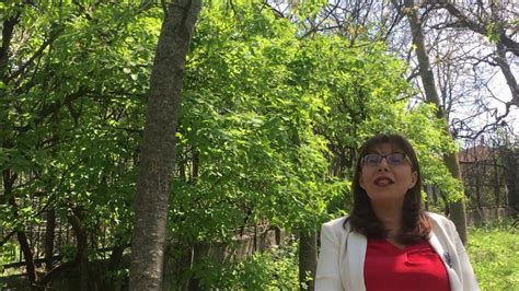 ნინო პოპიაშვილი ლიტერატურა და იდენტობა იაკობ გოგებაშვილის „იავნანამ რა ჰქმნა“ Youtube