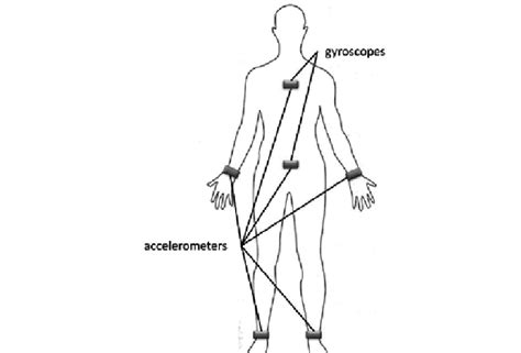 Placement Of The Sensors Accelerometers And Gyroscopes On The Download Scientific Diagram