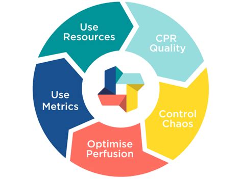 high performance cpr the role of cpr coach healthtimes