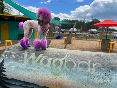 Kendal Kulp Kendalk33 • Instagram Photos And Videos