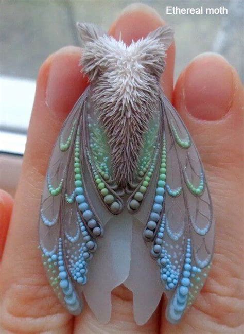Moths Of The World