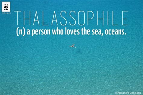 Thalassophile Powerful Words Beach Quotes Words