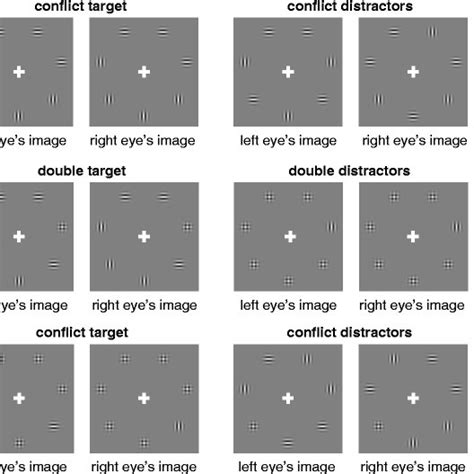 Stimuli Used In Experiments 1 2 And 3 A The Stimuli Used In