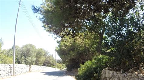 Buskett Woodlands Tours Book Now Expedia