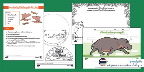 ชุดสื่อรวมกิจกรรมหมูเด้งแสนน่ารัก
