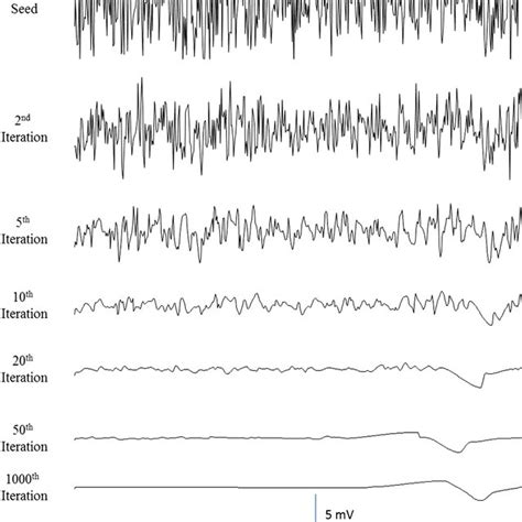 Evolution Of The Stimulus Waveform Using An Extrema Featured Stochastic