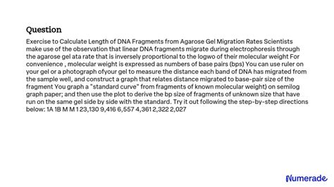 Solved Exercise To Calculate Length Of Dna Fragments From Agarose Gel Migration Rates