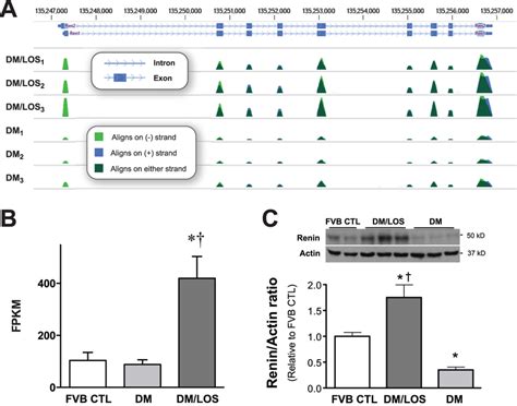 data format and assay validation depiction of data alignment with
