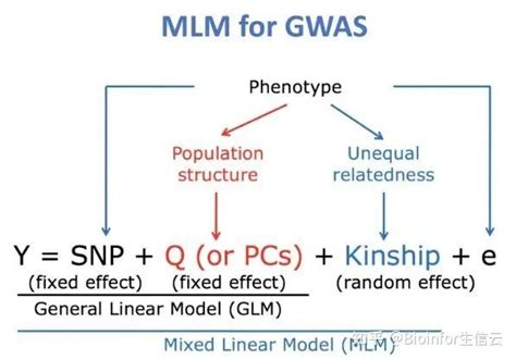 重测序分析（18）gwas分析实操（4）gwas Tassel Mlm 知乎