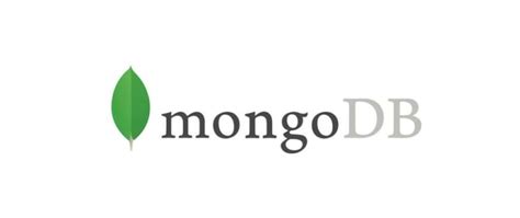 Consultas Básicas En Mongodb Por Terminal Dev Community