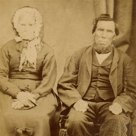 Mike Dickson Domus Reviews