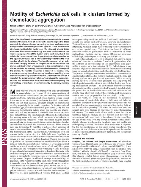 Pdf Motility Of Escherichia Coli Cells In Clusters Formed By Chemotactic Aggregation