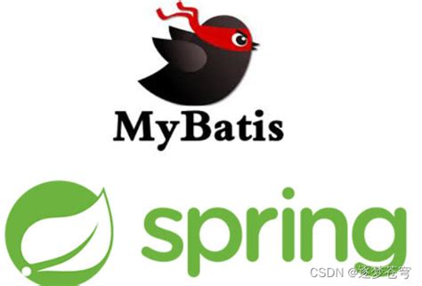 SSM 最全学习内容总结 Spring SpringMVC MyBatis 阿里云开发者社区