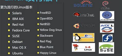软件包管理以及shell命令 Csdn博客 软件包管理以及shell命令 Csdn博客