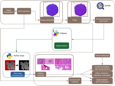 Script Error Of Published Pipline Image Analysis Imagesc Forum