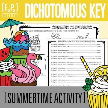 Dichotomous Keys Activity Summer Science Classification By EzPz Science