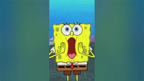 اعمار الشخصيات في كرتون سبونج بوب سبونج بوب Youtube