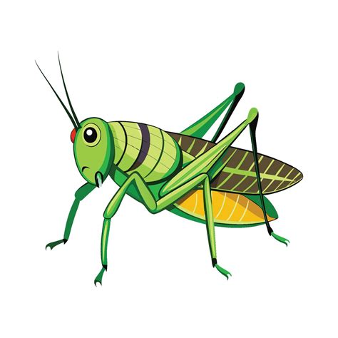 Illustration Of Grasshopper In Flight 58981324 Vector Art At Vecteezy