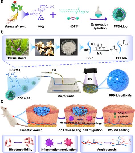 Microfluidic Engineered Chinese Herbal Nanocomposite Hydrogel