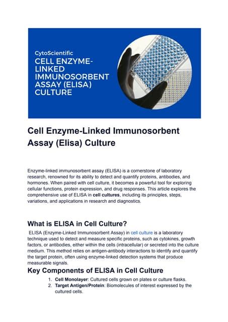 Cell Enzyme Linked Immunosorbent Assay Elisa Culture 1 Pdf