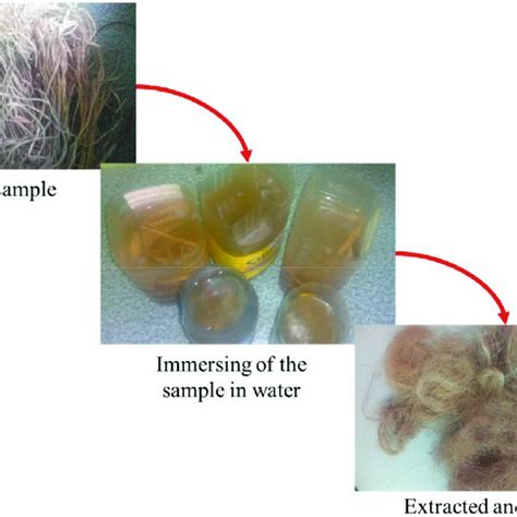 Alkaline Extraction Of Cpfs Download Scientific Diagram