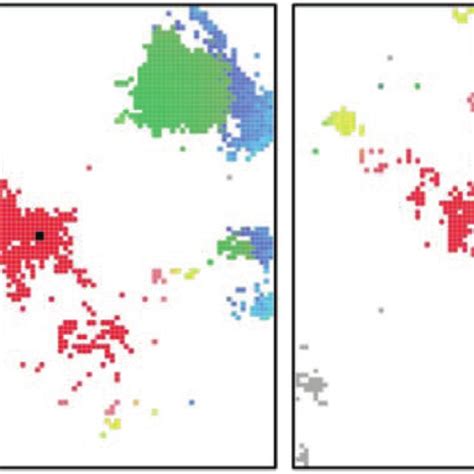 Cellular Automata Model Of Species Dispersal Generating Two Download Scientific Diagram