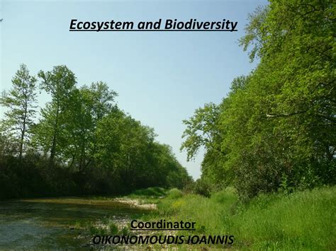 Biodiversity Ecosystem Ppt