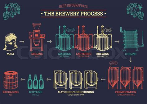 Hops Infographic Poster