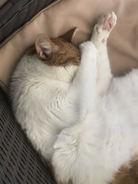 Hide A Dad Trying To Cope With The Loss Of His Partner And Becoming A Single Parent