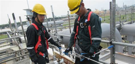 Introduction Blitz Automation