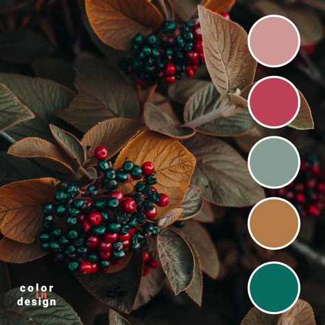 Сочетание цветов розовый малиновый зеленый серо желтый цвета Paleta De Color Paletas De