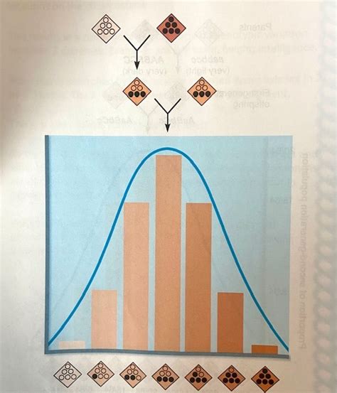 polygenic inheritance distribution diagram quizlet