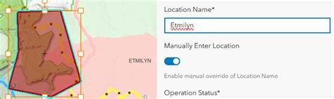 How To Override Values For Fields With Calculated Esri Community
