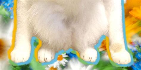 jQueryでリストの最後に要素を追加する方法 初めてのブログ jQueryでリストの最後に要素を追加する方法 初めてのブログ