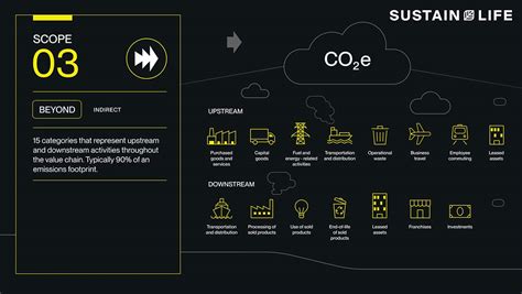 Scope 3 Emissions Examples Take A Deep Dive Workiva Carbon