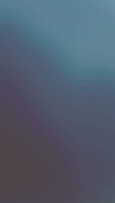 Programme Description Swift