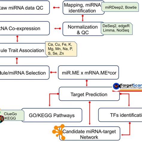 Co Expression Pipeline Analysis The Main Analyses Steps To Data