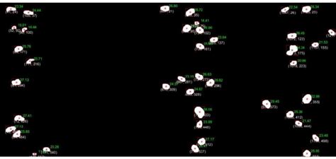 Morphological Information Extraction Results With Regionprops Function