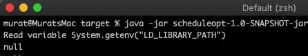 Java How To Set LD LIBRARY PATH DYLD LIBRARY PATH On Macos Stack Overflow