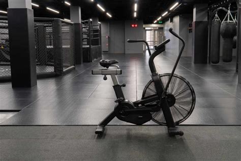 Assault Bike Vs Echo Bike Pros Cons Differences And Which One Is